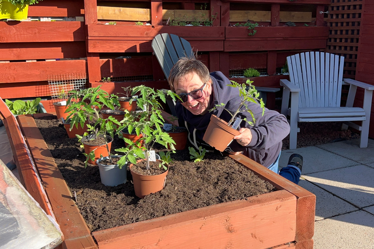 How to harden off your plants before putting them outdoors - Eli and Kate